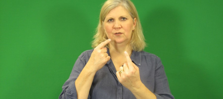 1. BSL Accessibility | British Sign Language Plan | British Sign ...