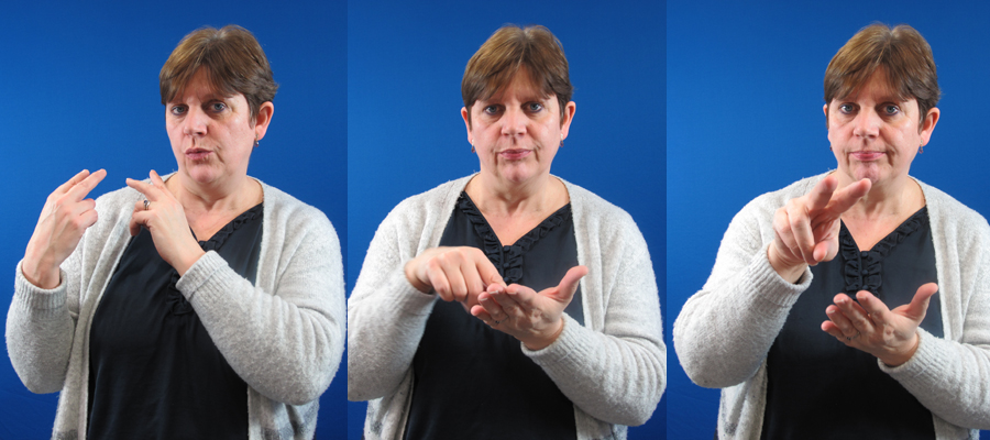 Governance | British Sign Language Plan | British Sign Language Plan