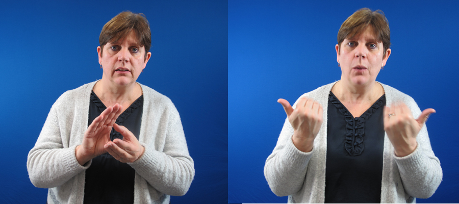 Summary and welcome | British Sign Language Plan | British Sign ...